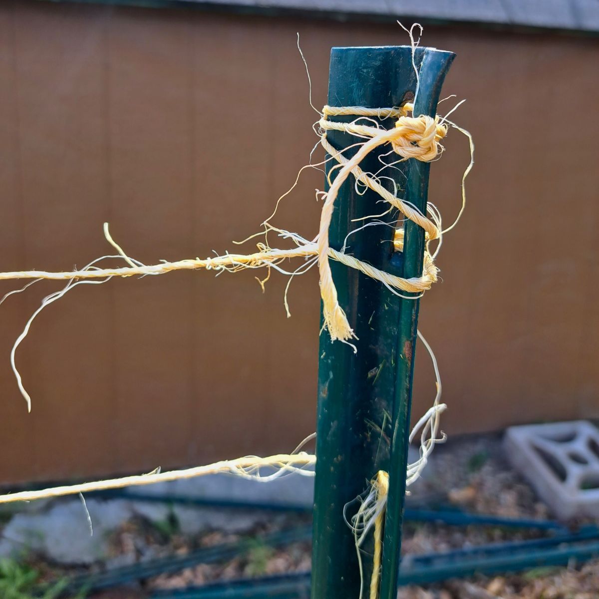 4 Cheap and Easy DIY Trellis Ideas with Twine - Dirty Hands Warm Heart