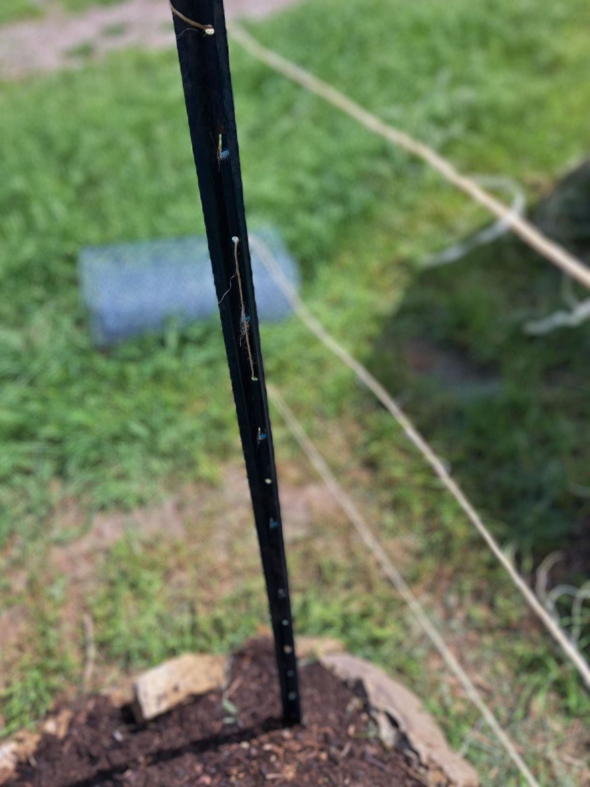 4 Cheap and Easy DIY Trellis Ideas with Twine - Dirty Hands Warm Heart